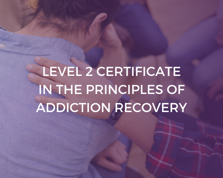 Level 2 Certificate in The Principles of Addiction Recovery | LCG ...