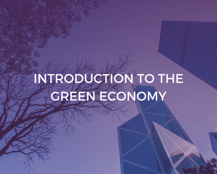 Introduction to the Green Economy – Learning Curve Group